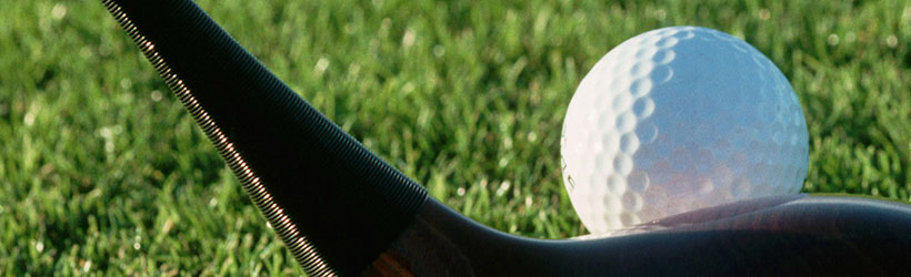 Michigan - Golf Course Information